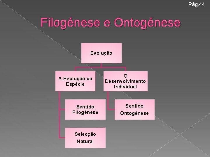 Psicologia 12 Nome Joo Carlos Ferreira Borges Turma