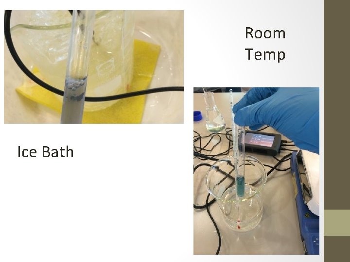 BIOLOGY ENZYME LABEffect of temperature Group Member 1010