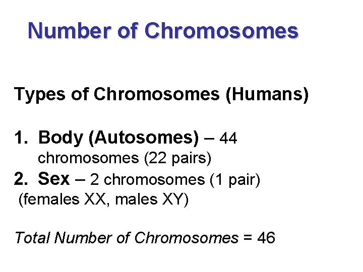 Cell Cycle and Cell Division BIG PICTURE Mitosis