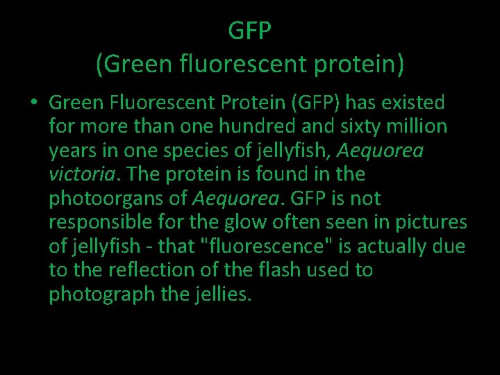 GFP Green fluorescent protein by Kitija Kaulina GFP