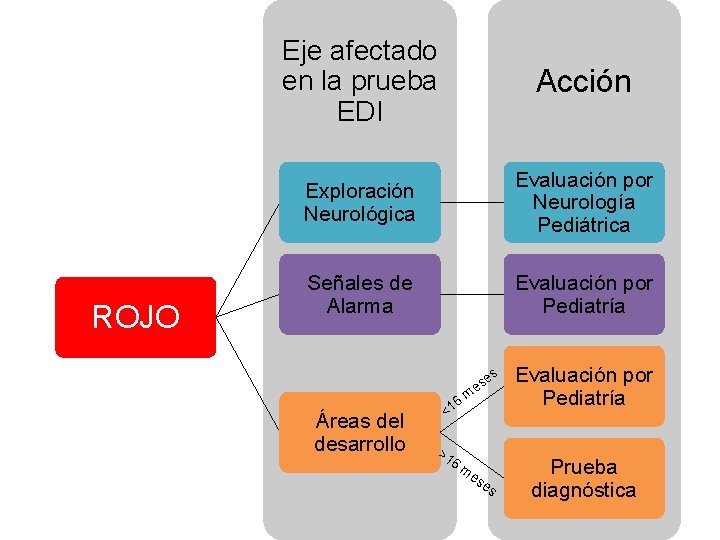 Qu se necesita para la prueba EDI en
