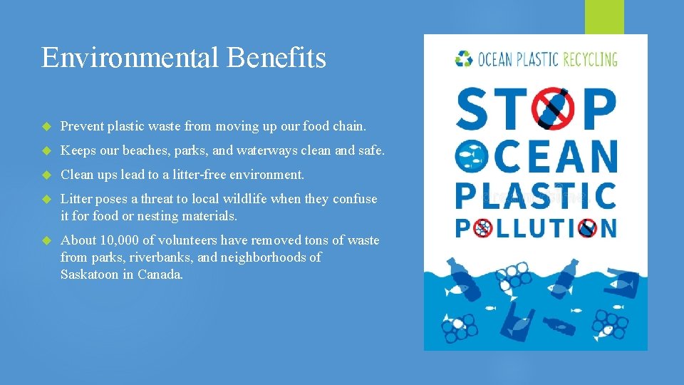 Preventing Plastic Pollution Solution organizing groups ROXANA CASANUEVA