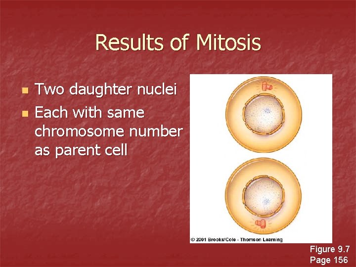 Cell Division and Mitosis Chapter 9 Understanding Cell