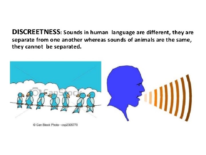 Phonetics The study of human speech sounds Phonology