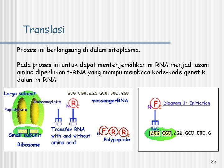 BAHAN GENETIK dan EKSPRESI GEN 1 Bahan Genetik