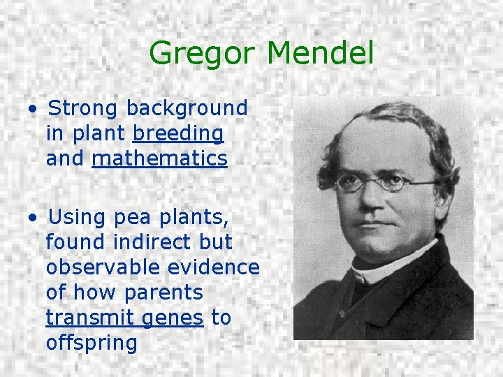 Observable Patterns of Inheritance Mendelian Genetics Early Ideas
