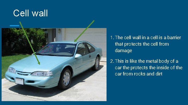 Cell Project By Harrison Bliss 12132016 Cell Membrane