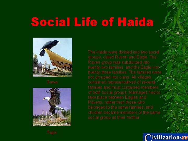 The Haida Natives of the West Coast The