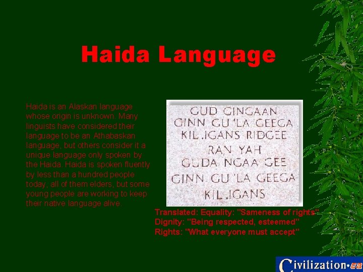 The Haida Natives of the West Coast The