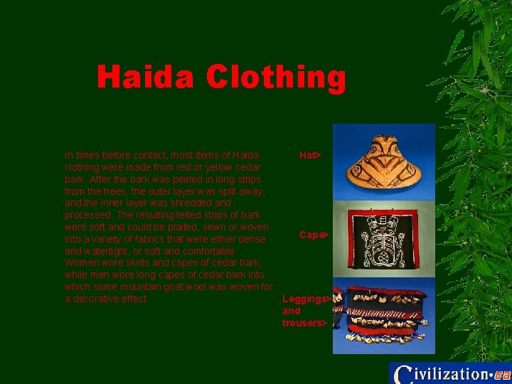 The Haida Natives of the West Coast The