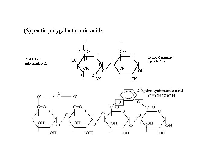 Plant interactions with bacterial Pathogens Handout 1 Luis
