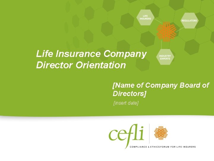 Life Insurance Company Director Orientation Name of Company