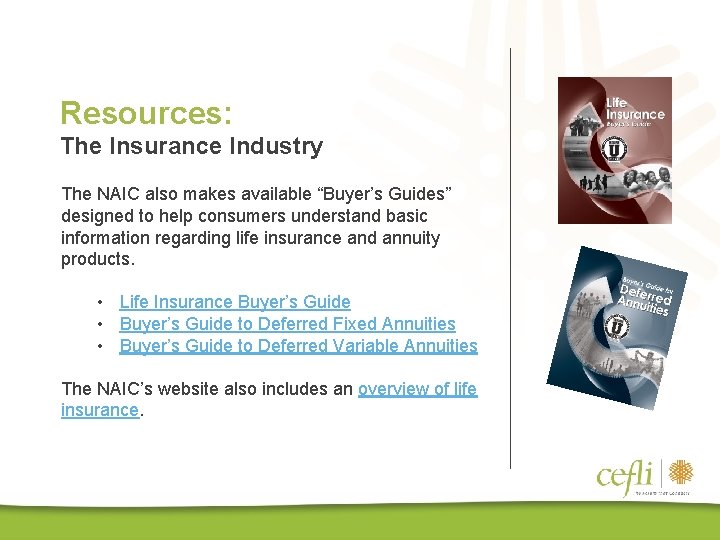 Life Insurance Company Director Orientation Name of Company