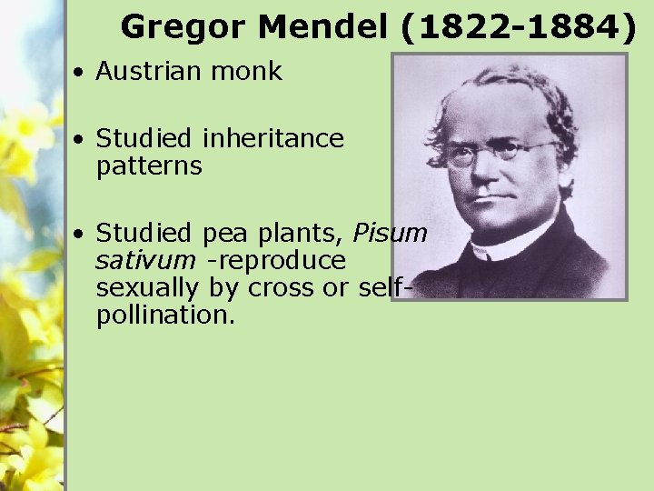 Genetics Topics Mendel and DominantRecessive Traits Incomplete Dominance