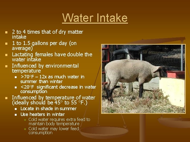 Nutritional Requirements of Sheep Goats SUSAN SCHOENIAN Area