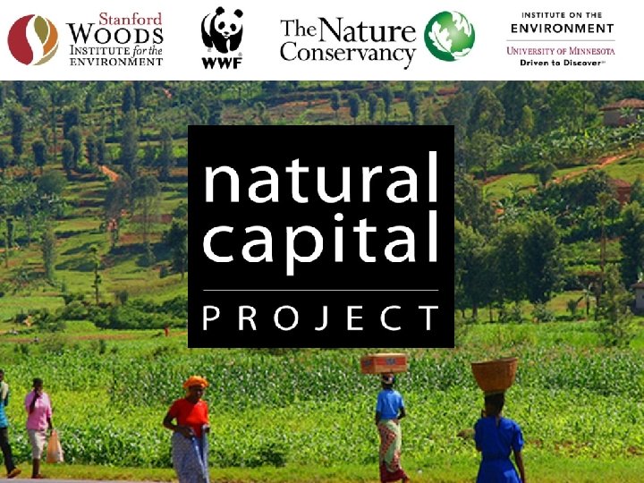 Economic benefits from biodiversity Steve Polasky University of