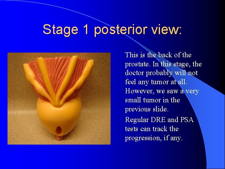 Objectives Our first segment focused in the anatomy