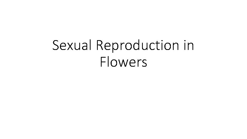 Sexual Reproduction in Flowers How do plants get