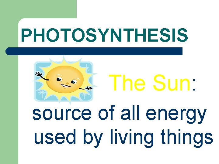PHOTOSYNTHESIS The Sun source of all energy used