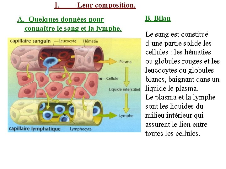 Activit des cellules et changes avec le milieu