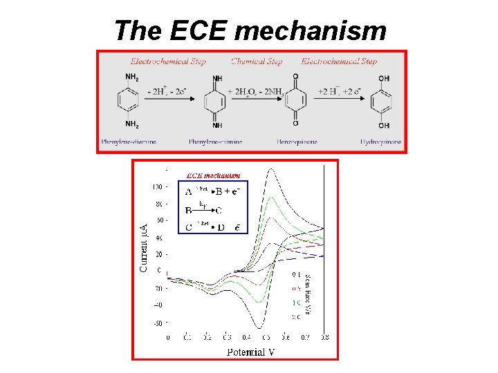 Cyclic Voltammetry Probing electron transfer mechanisms CV Application