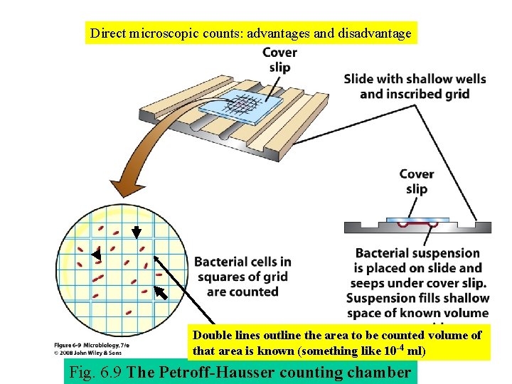 GROWTH AND CULTURING OF BACTERIA CHAPTER 6 Some
