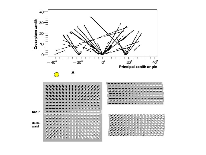 Tree species identification in aerial image data using
