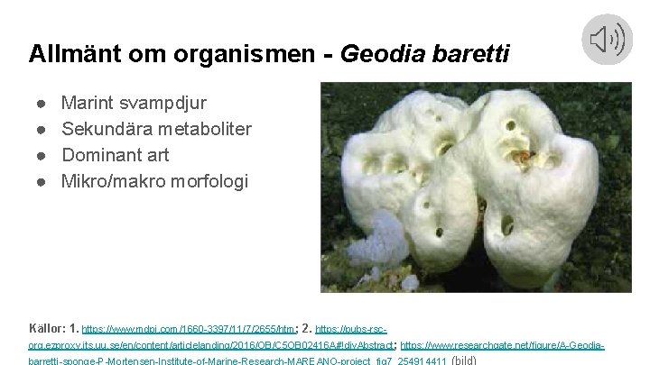 Geodia baretti barettin Projektarbete grupp 2 Adela Murtadha