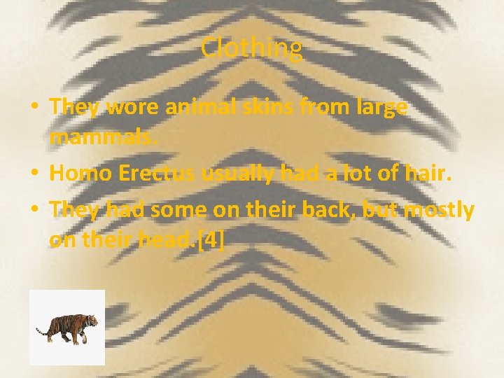 Homo Erectus By Kelly Max Meheak and Adrian