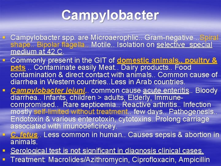 Bacterial Gastrointestinal Infection 2 Year Medical Students Prof