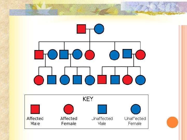 NONMENDELIAN GENETICS MORE COMPLEX PATTERNS OF HEREDITY Incomplete