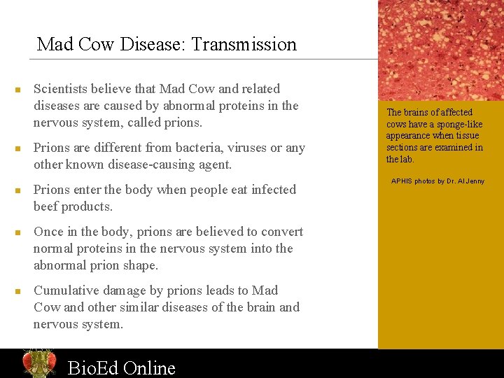 Hot Topics in Biology Mad Cow Disease By