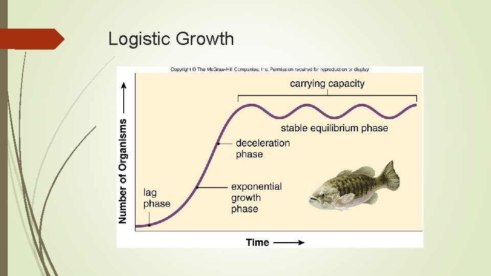 Population Biology AP Environmental Chapter 6 Dynamics of