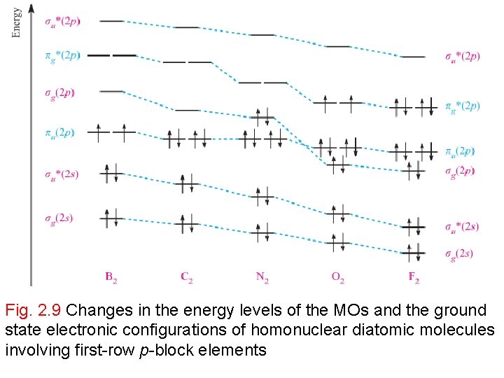 Chapter 2 Basic concepts molecules TOPICS Lewis structures