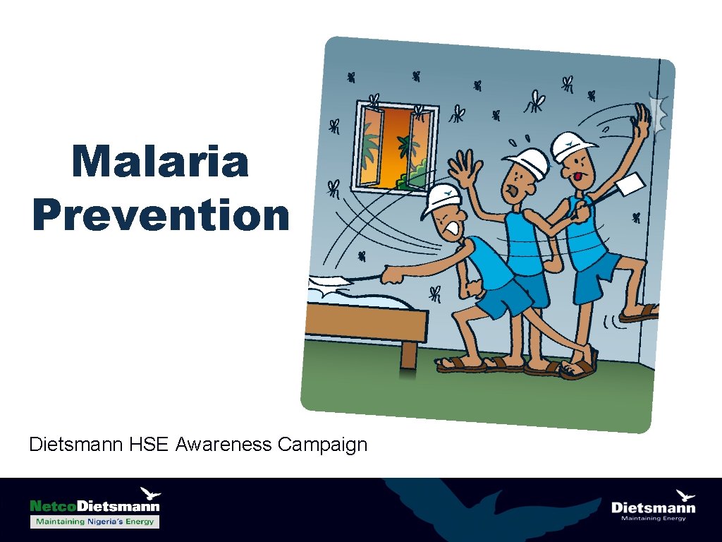 Malaria Prevention Dietsmann HSE Awareness Campaign WHAT IS