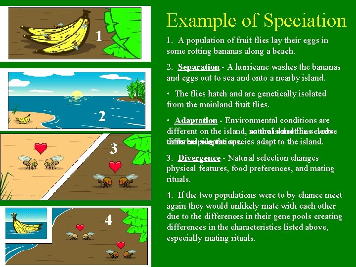 WHAT CAUSES EVOLUTION TO OCCUR DARWINS MECHANISM THEORY