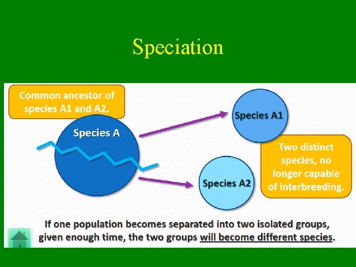 WHAT CAUSES EVOLUTION TO OCCUR DARWINS MECHANISM THEORY