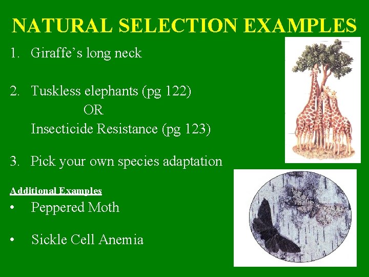 WHAT CAUSES EVOLUTION TO OCCUR DARWINS MECHANISM THEORY