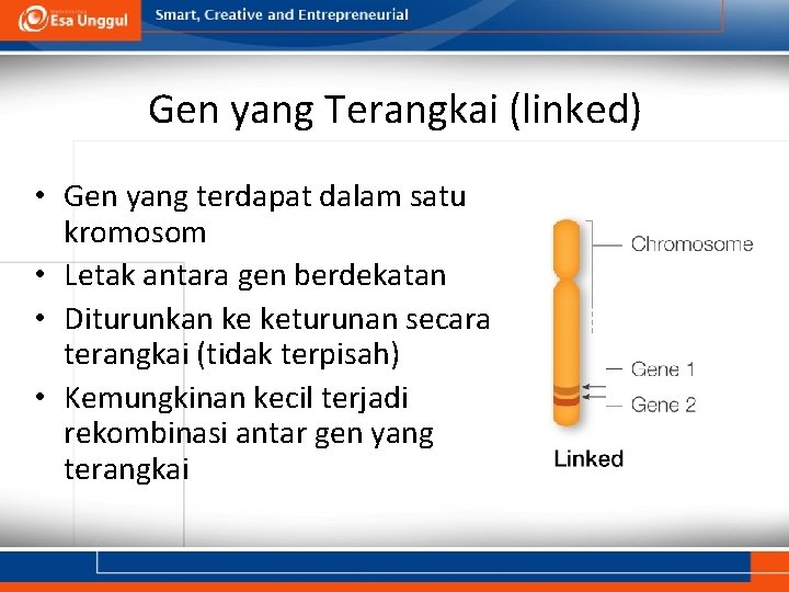 Peristiwa Pindah Silang dan Pemetaan Kromosom Dr Henny