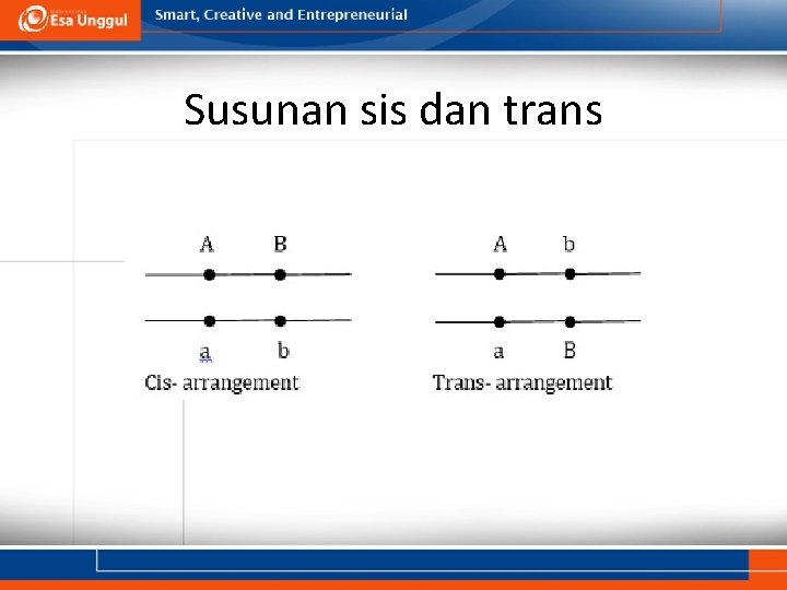 Peristiwa Pindah Silang dan Pemetaan Kromosom Dr Henny