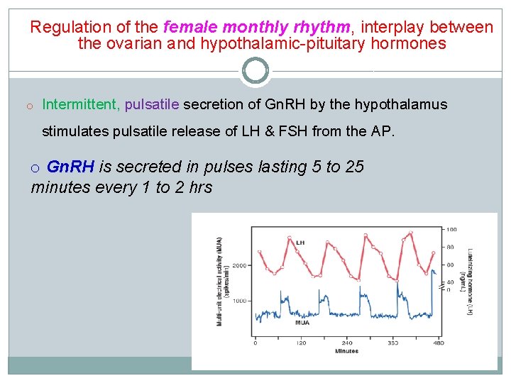 Reproductive Physiology Lecture 1 HypothalamicPituitaryGonadal axis DR ...