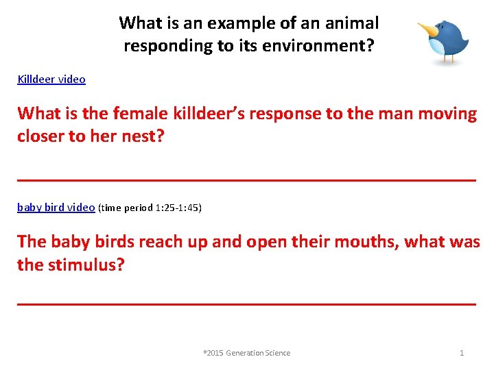 What is an example of an animal responding