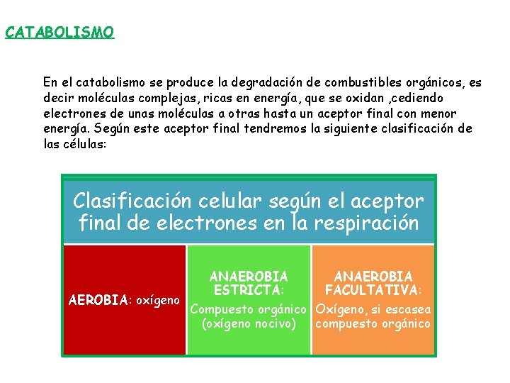 METABOLISMO CATABOLISMO DE GLCIDOS Y LPIDOS METABOLISMO GENERALIDADES