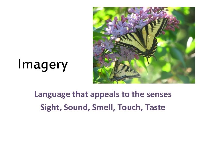 Imagery Language that appeals to the senses Sight