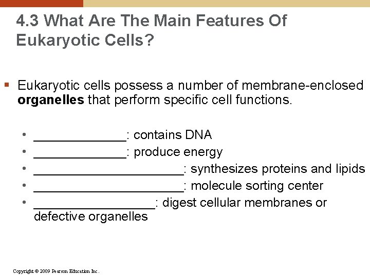 Chapter 4 Cell Structure and Function Lectures by