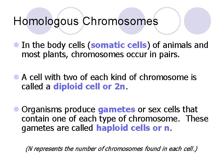 Meiosis Homologous Chromosomes l In the body cells