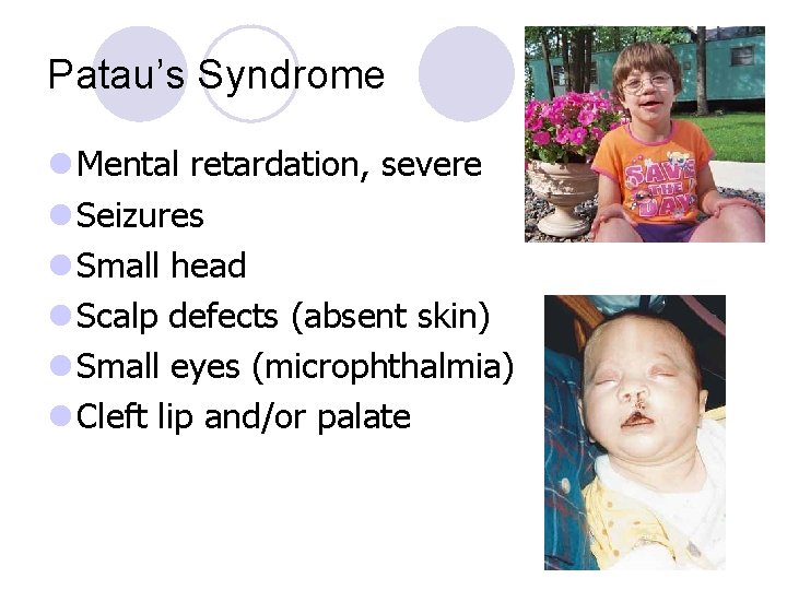 Meiosis Homologous Chromosomes l In the body cells