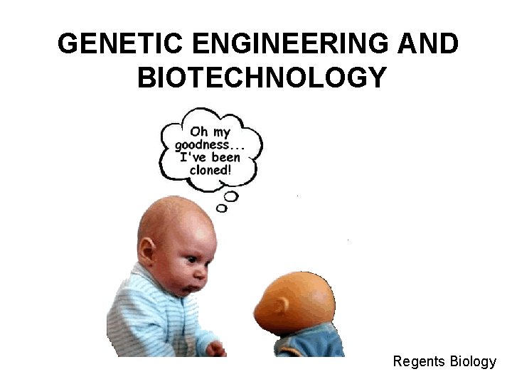 GENETIC ENGINEERING AND BIOTECHNOLOGY Regents Biology OBJECTIVES Upon