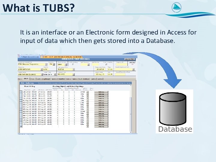 SESSION 11 2 1 Observer Database Systems TUBS