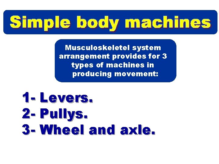 Simple body machines Musculoskeletel system arrangement provides for